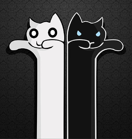 Longcat